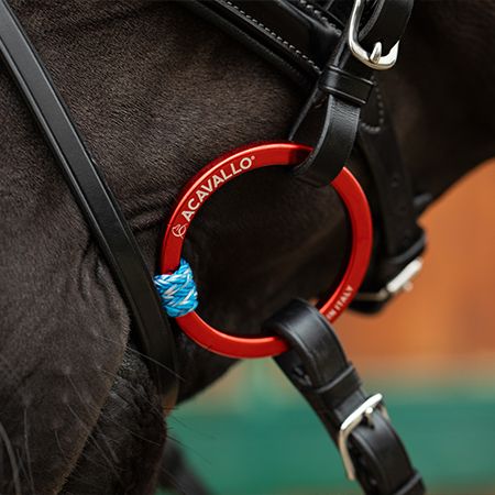 Amahorse Trading srl. Amahorse Trading srl